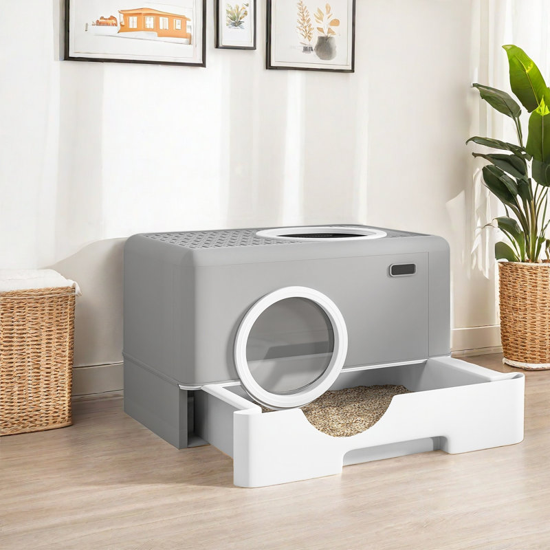 Archie & Oscar™ Denholme Standard Plastic Cat Litter Box with Scoop ...