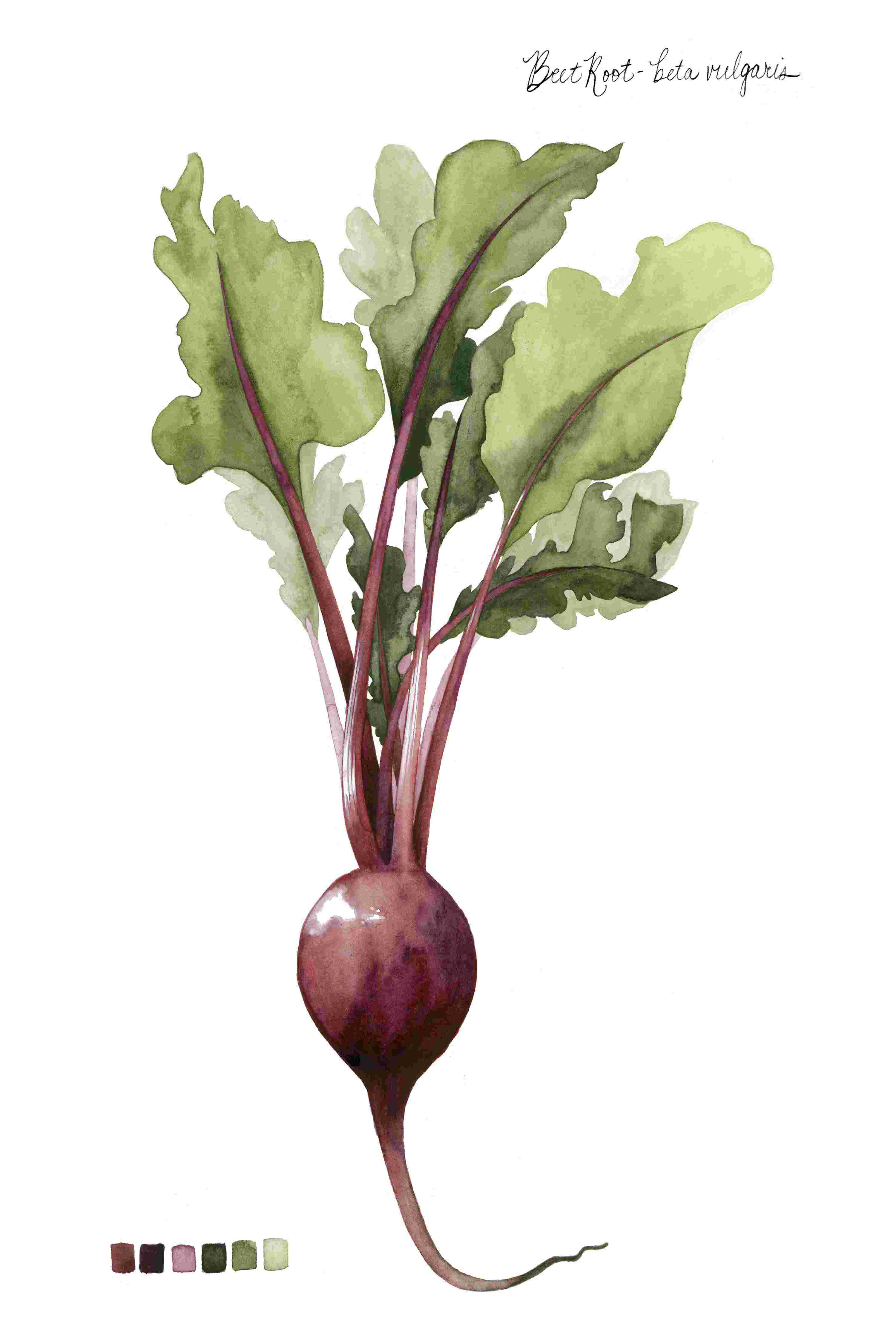 Rosalind Wheeler Root Vegetable II - Wayfair Canada