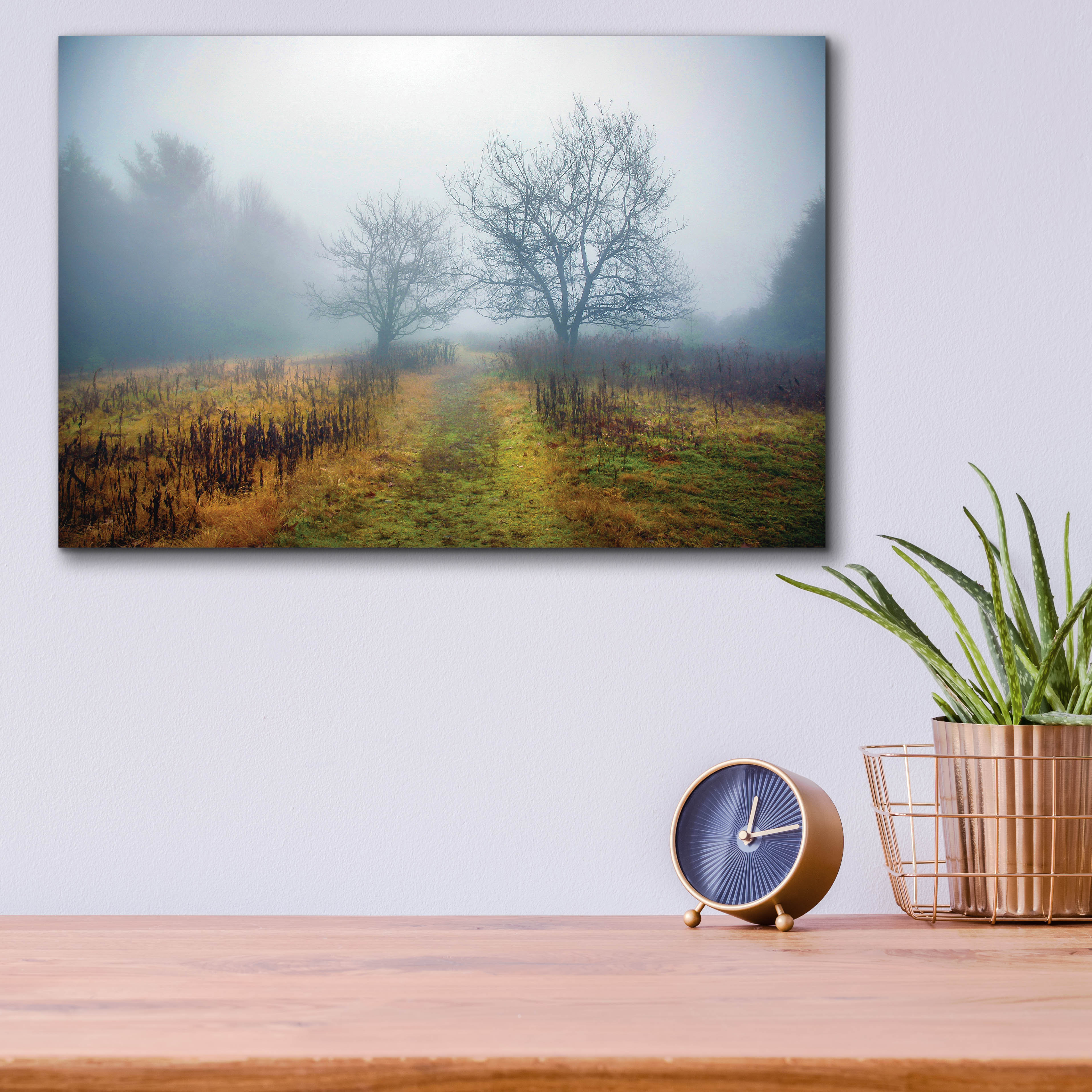 Ebern Designs Magic Meadow Apples' by Kelly Sinclair, Acrylic Glass Wall Art | Wayfair