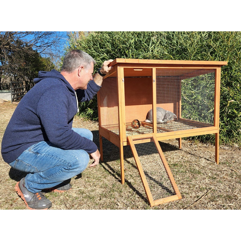 Tucker Murphy Pet™ Averhoff Weather Resistant Rabbit Hutch with Ramp ...
