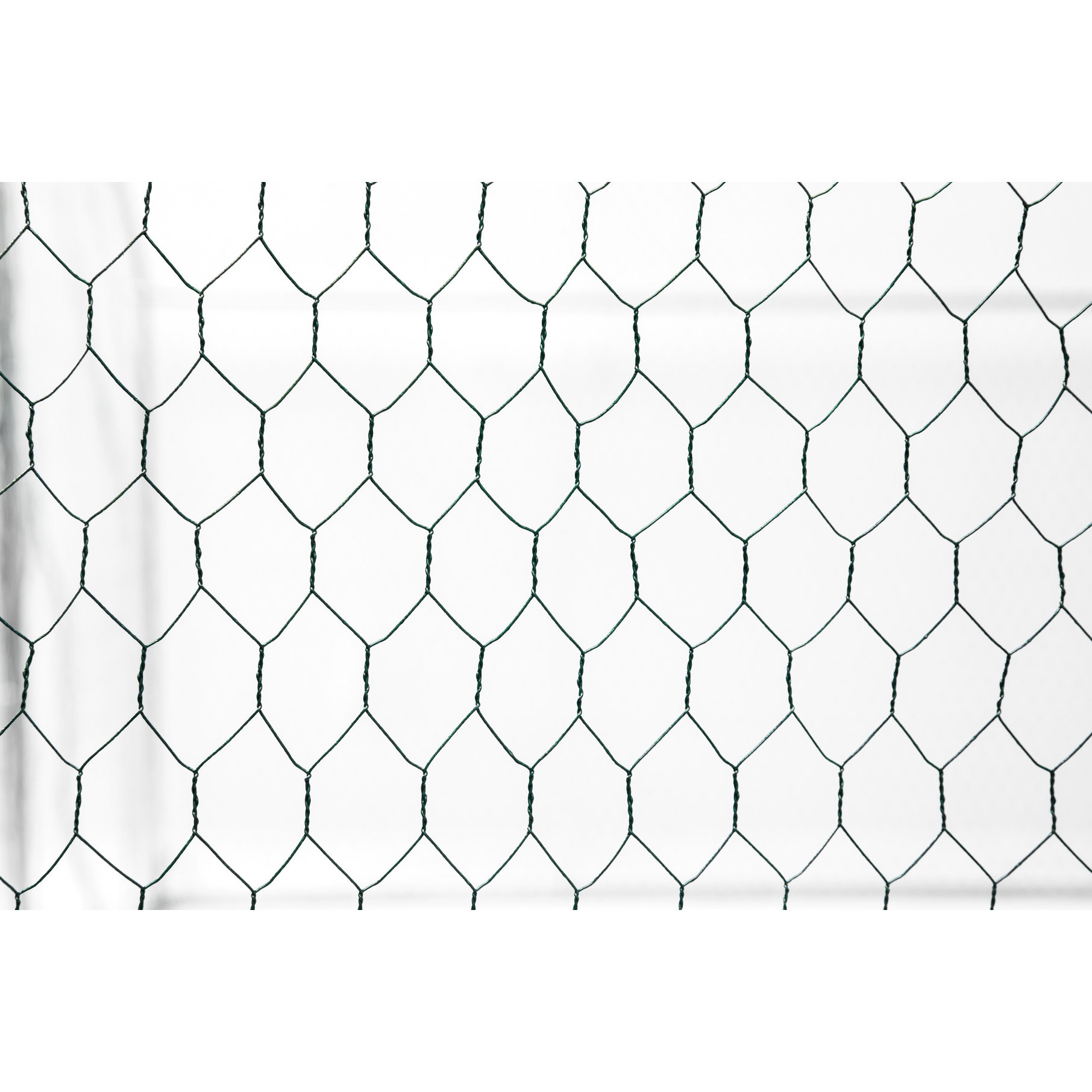Tucker Murphy Pet™ 26X10x6 Large Metal Chicken Run With Cover Lockable ...