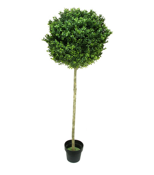 Northlight 5' Potted Two-Tone Artificial Murraya Ball Topiary Tree ...