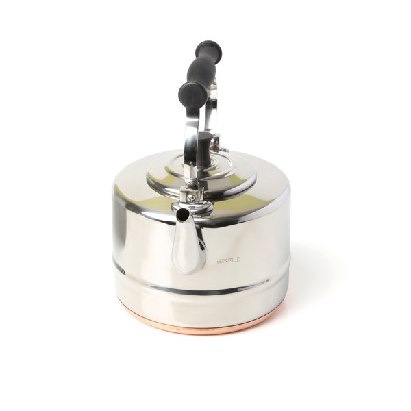 BonJour Tea Stainless Steel and Copper-Base Gooseneck Teakettle, 2 ...