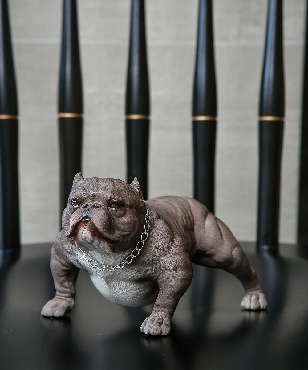 Winston Porter Stockham American Bully Exotic Statue | Wayfair