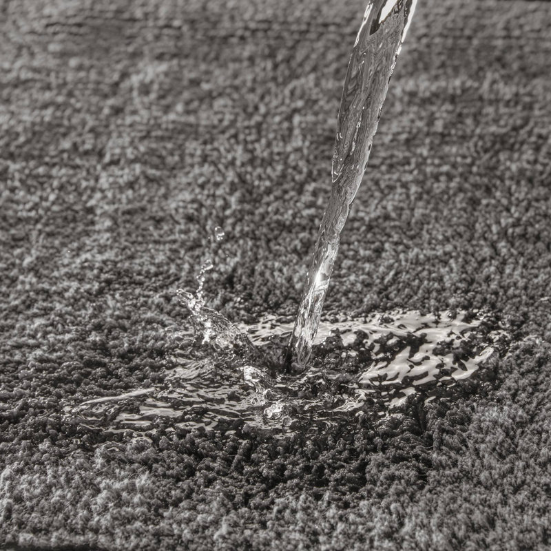 Winston Porter 20X30" 100% Cotton Tufted 3000 GSM Reversible Bath Rug ...