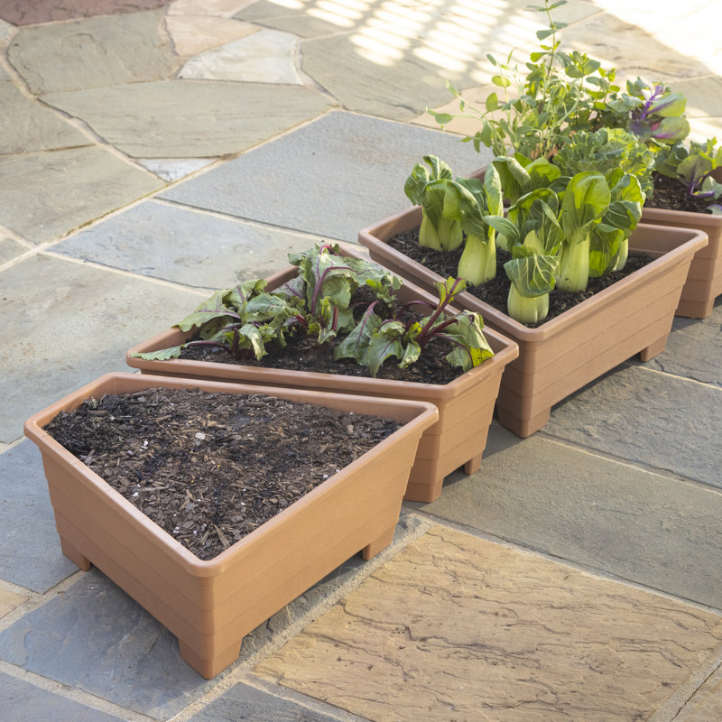 Arlmont & Co. 4-Piece Plastic Nursery Pot Set | Wayfair