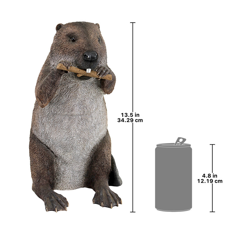 Design Toscano Dam Building Beaver Statue & Reviews | Wayfair