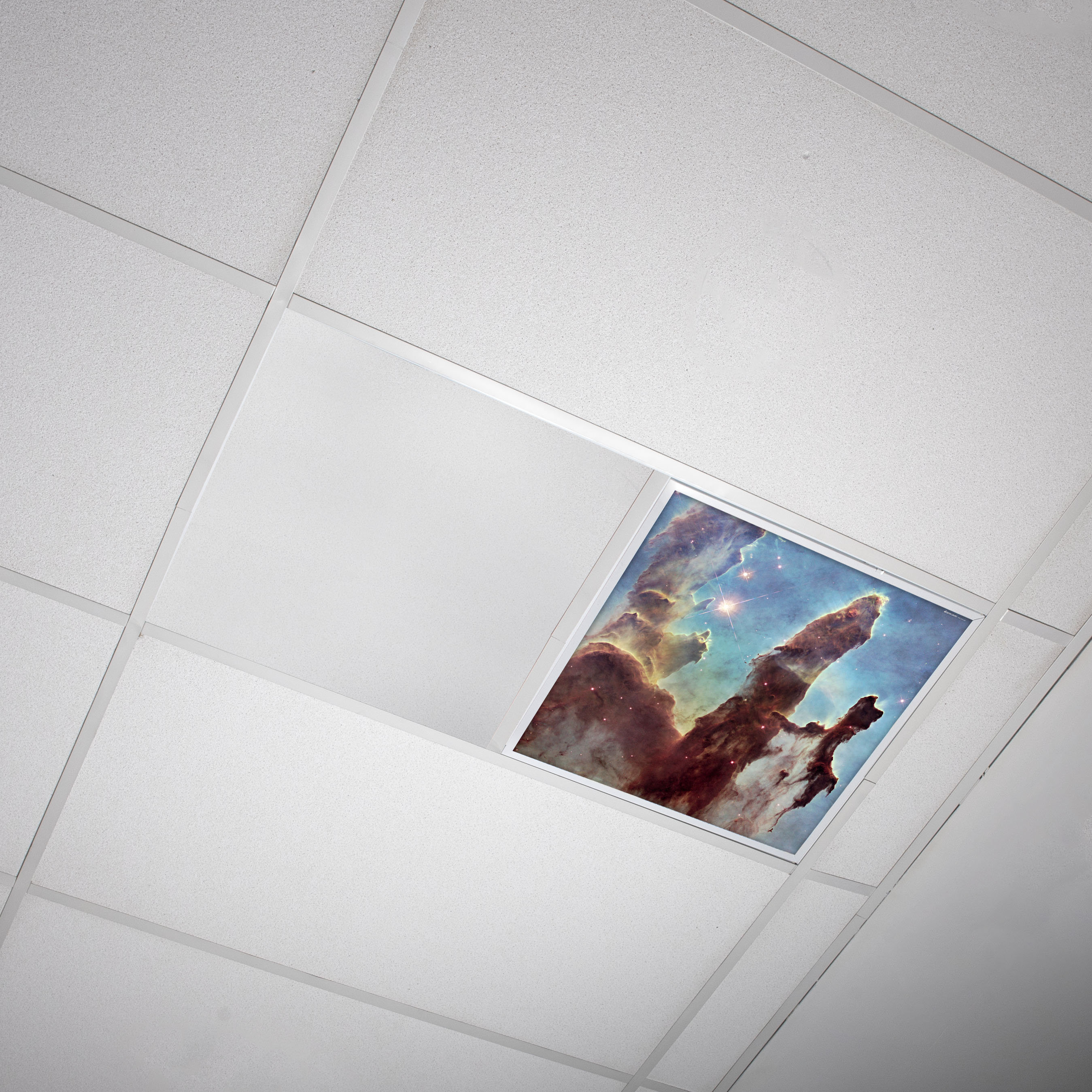 Octo Lights Astronomy Flexible Decorative Light Cover | Wayfair