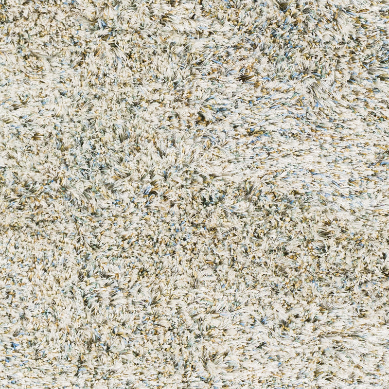 Latitude Run® Area Rug AHM2300 | Wayfair