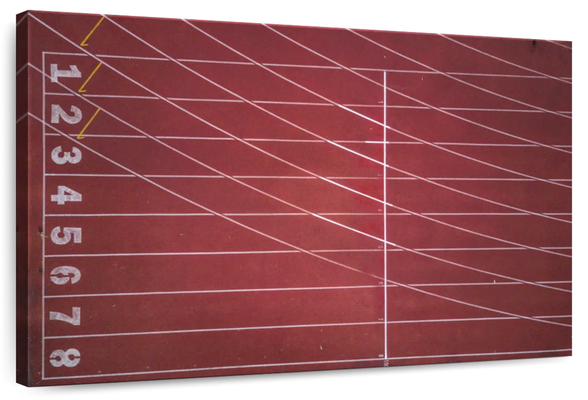 Elephant Stock Track And Field Stadium - Wayfair Canada