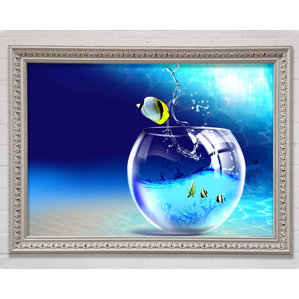 Bright Star Fishy Life - Single Picture Frame Art Prints | Wayfair.co.uk