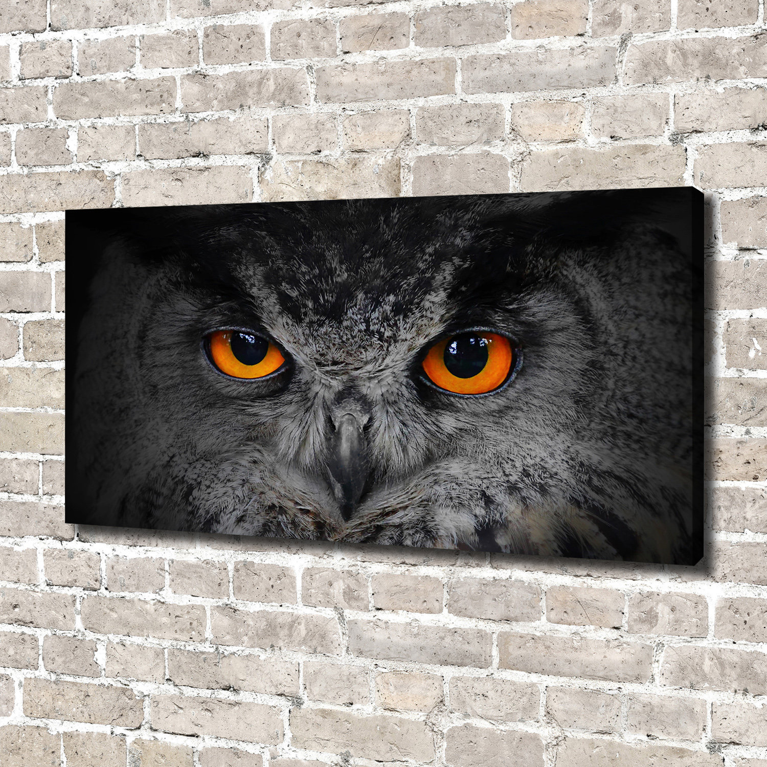 Union Rustic Devil'S Eyes of An Owl - Art Prints on Canvas | Wayfair.ie