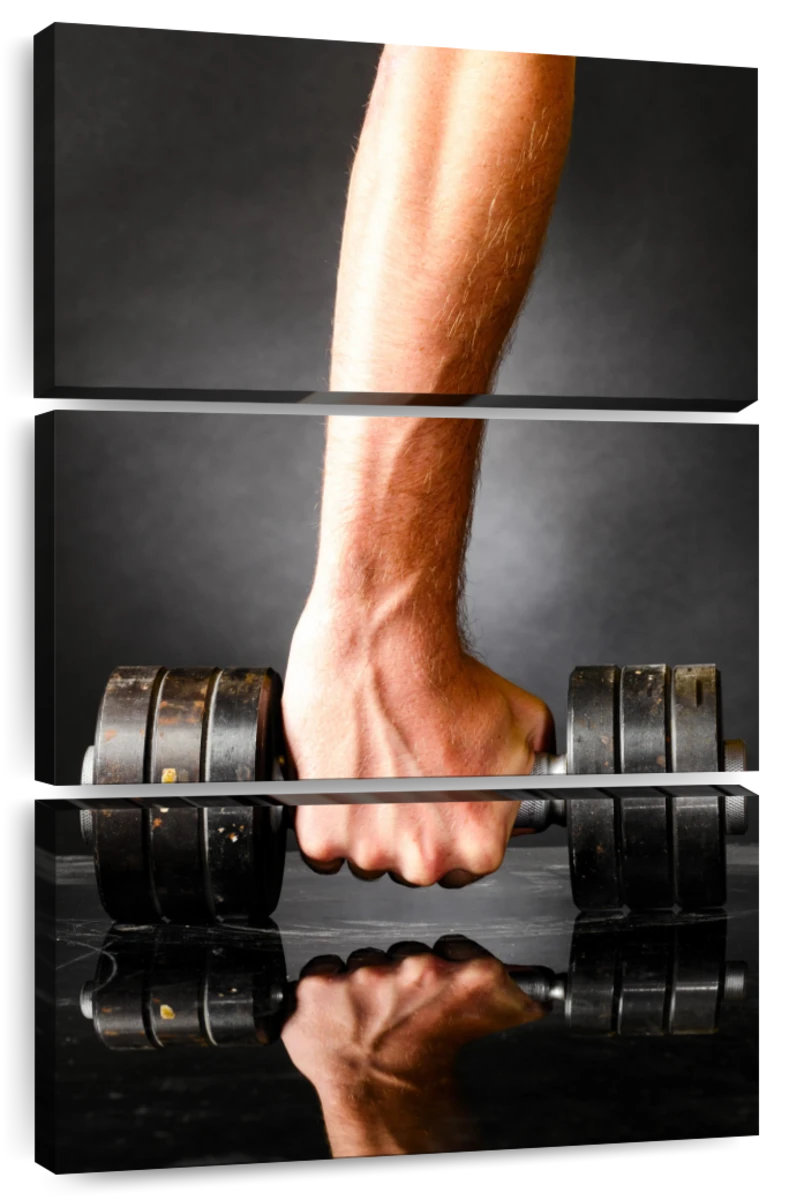 Ebern Designs Dumbbell Grip | Wayfair