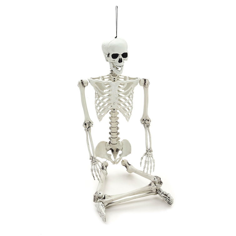 Ivy Bronx Plastic Simulation Skeleton Skeleton Haunted House Decoration ...