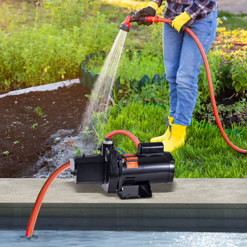 VEVOR 1.5 HP Cast Iron Sprinkler/Irrigation Pump, 115/230 Volt ...