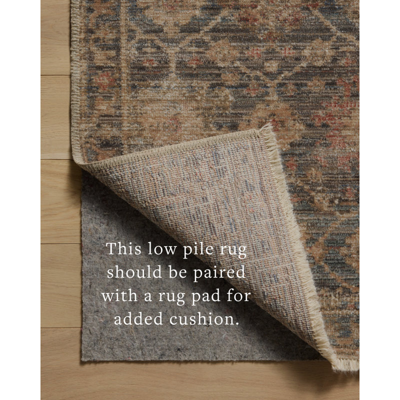 Amber Lewis x Loloi Molly Ocean / Sunset Area Rug & Reviews | Wayfair