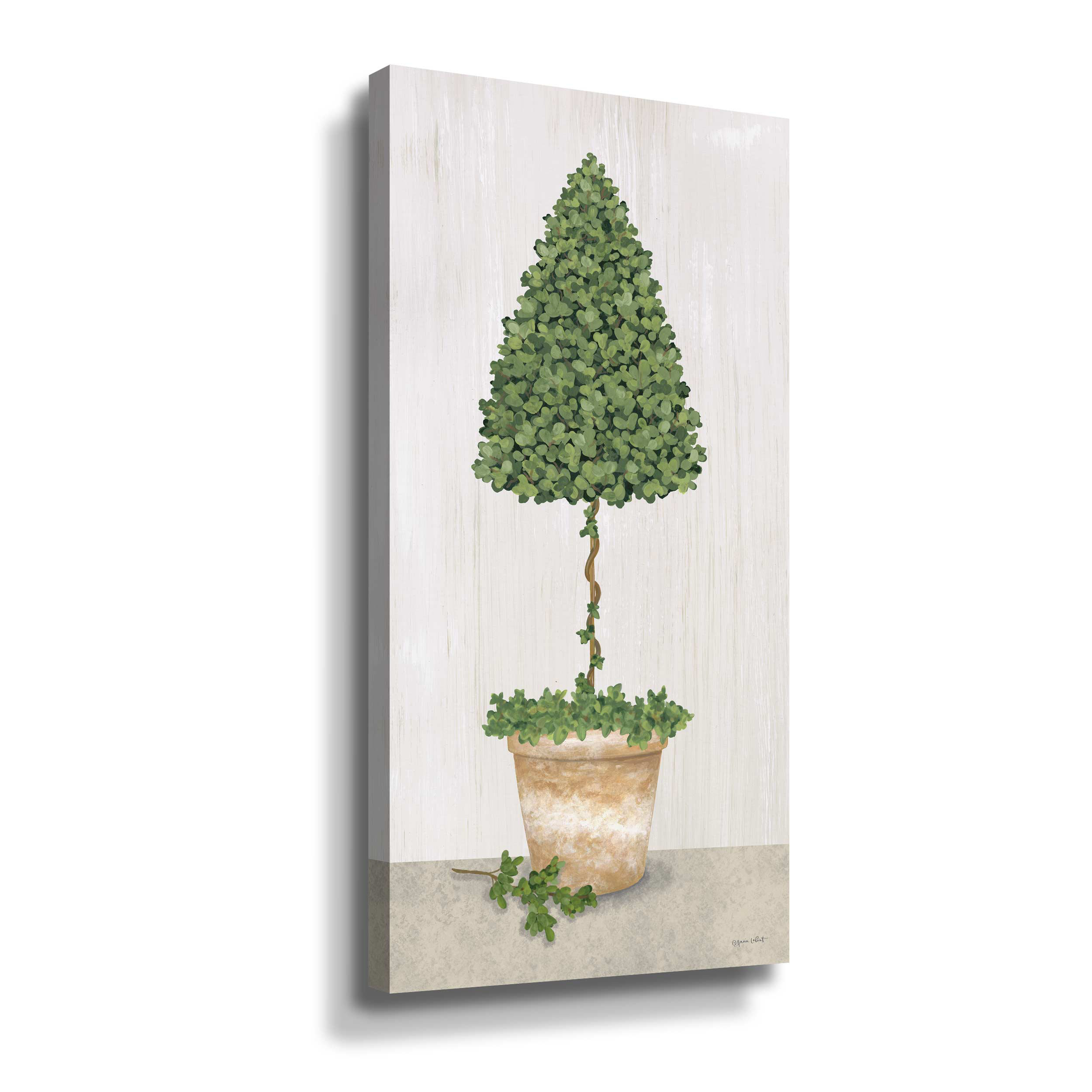 Winston Porter Boxwood Tree Topiary - Painting on Canvas - Wayfair Canada
