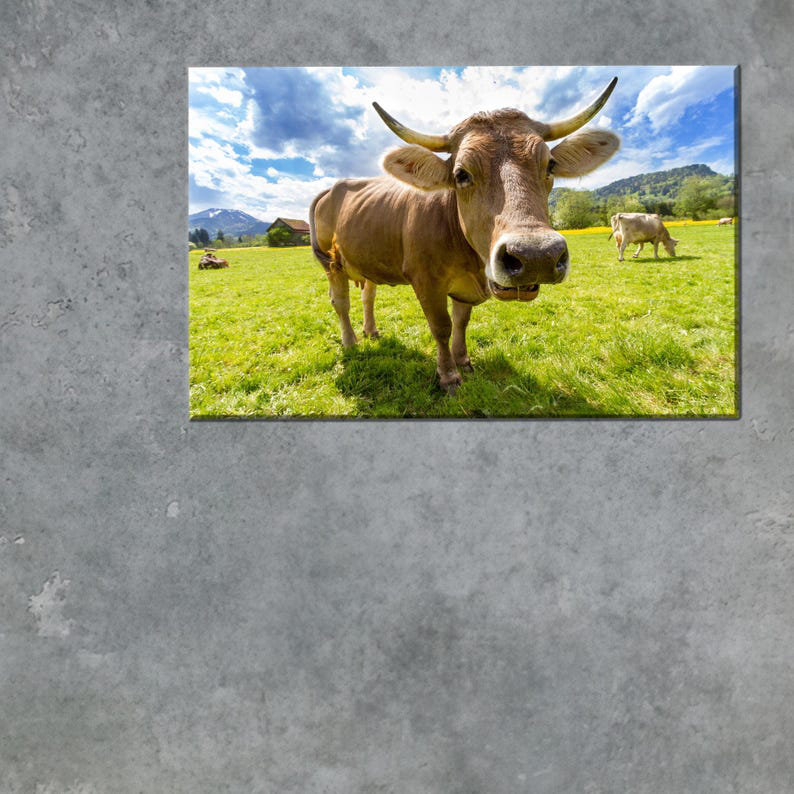 kayra export 3D Farmhouse Canvas Wall Art Featuring Contemporary Cattle ...