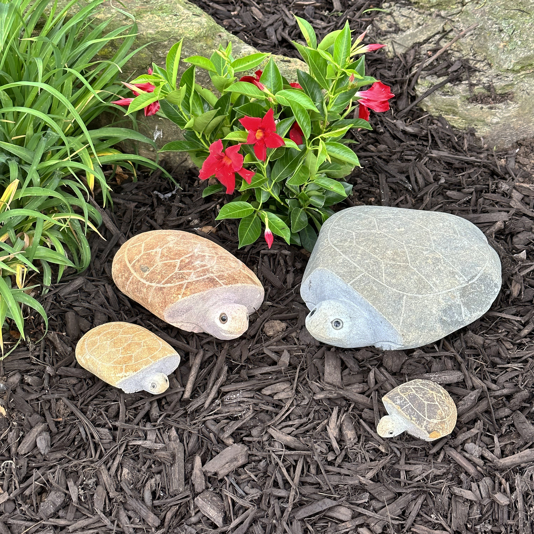 Arlmont & Co. Turtles Garden Statue | Wayfair