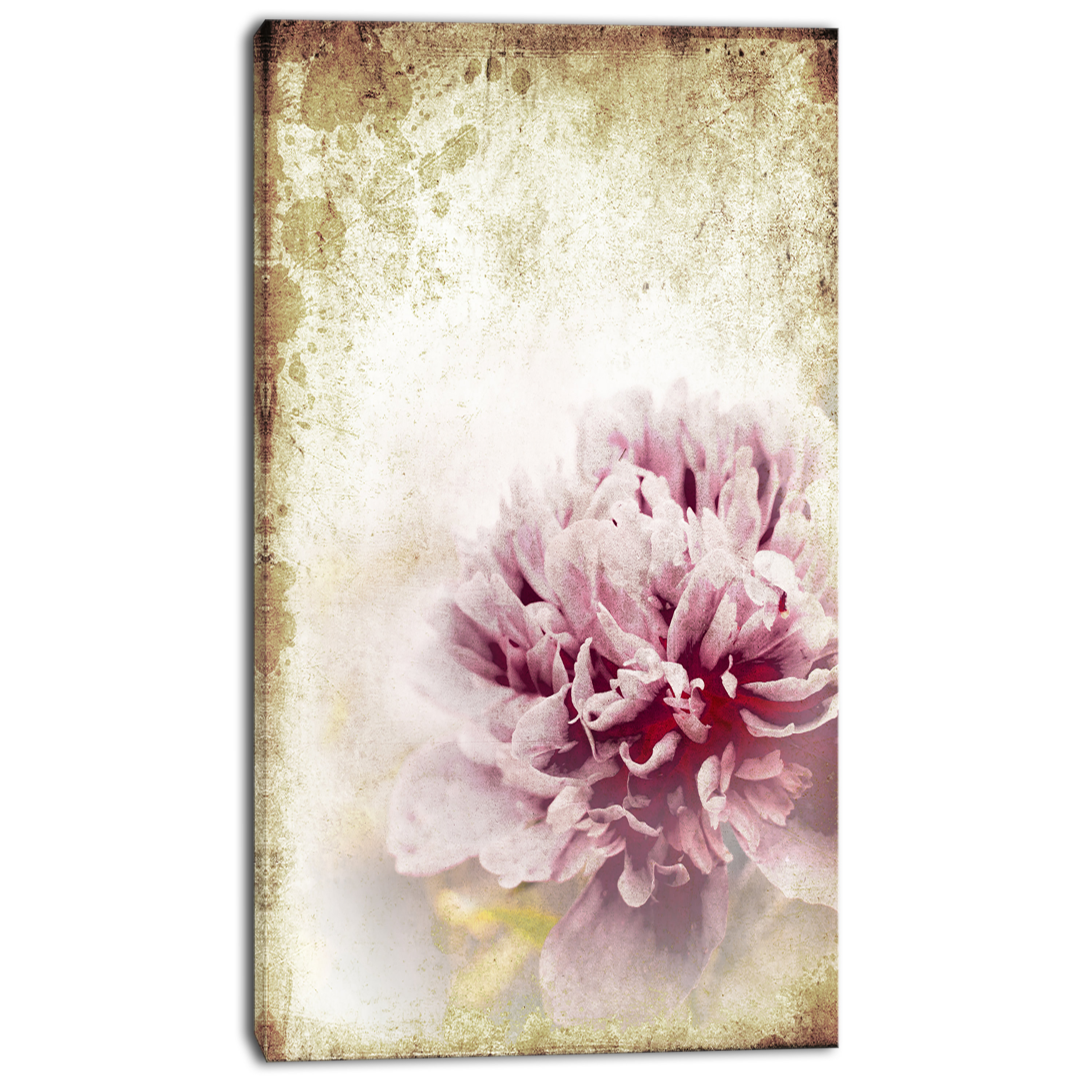 House of Hampton 'Pink Peony in Vintage Style' Graphic Art & Reviews ...