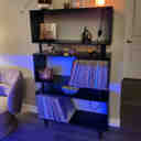 Everly Quinn Camylle Standard Bookcase & Reviews | Wayfair