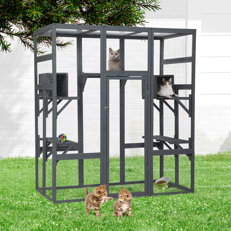 Tucker Murphy Pet™ Debor Outdoor Cat Playpen, Enclosure & Reviews | Wayfair