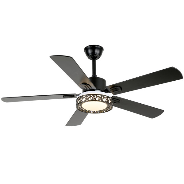 Wrought Studio Ehrin 51.96'' Ceiling Fan with LED Lights & Reviews ...