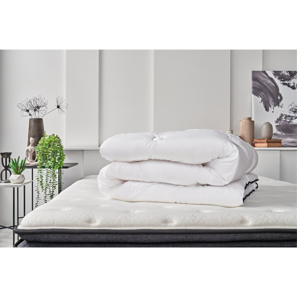 Yatas Europe GmbH De Dacron Microfiber Blanket | Wayfair.co.uk