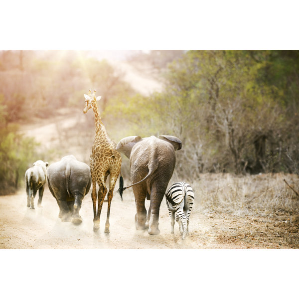 Ebern Designs Africa Animal Safari On Canvas by Adogslifephoto Print ...