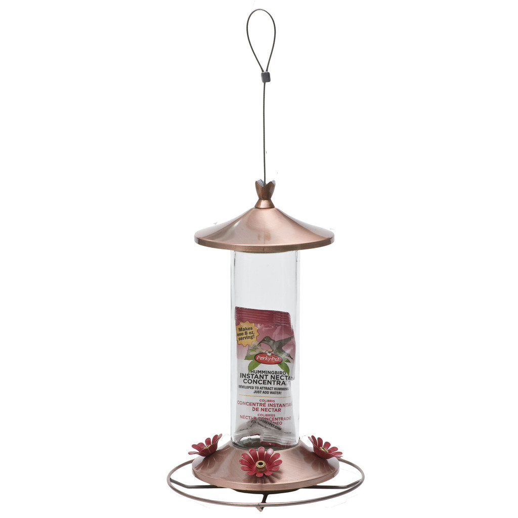 Perky Pet Elegant Copper Hummingbird Feeder & Reviews | Wayfair