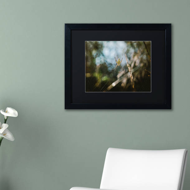 Trademark Art Jason Shaffer Orb Weaver On Canvas by Jason Shaffer Print ...