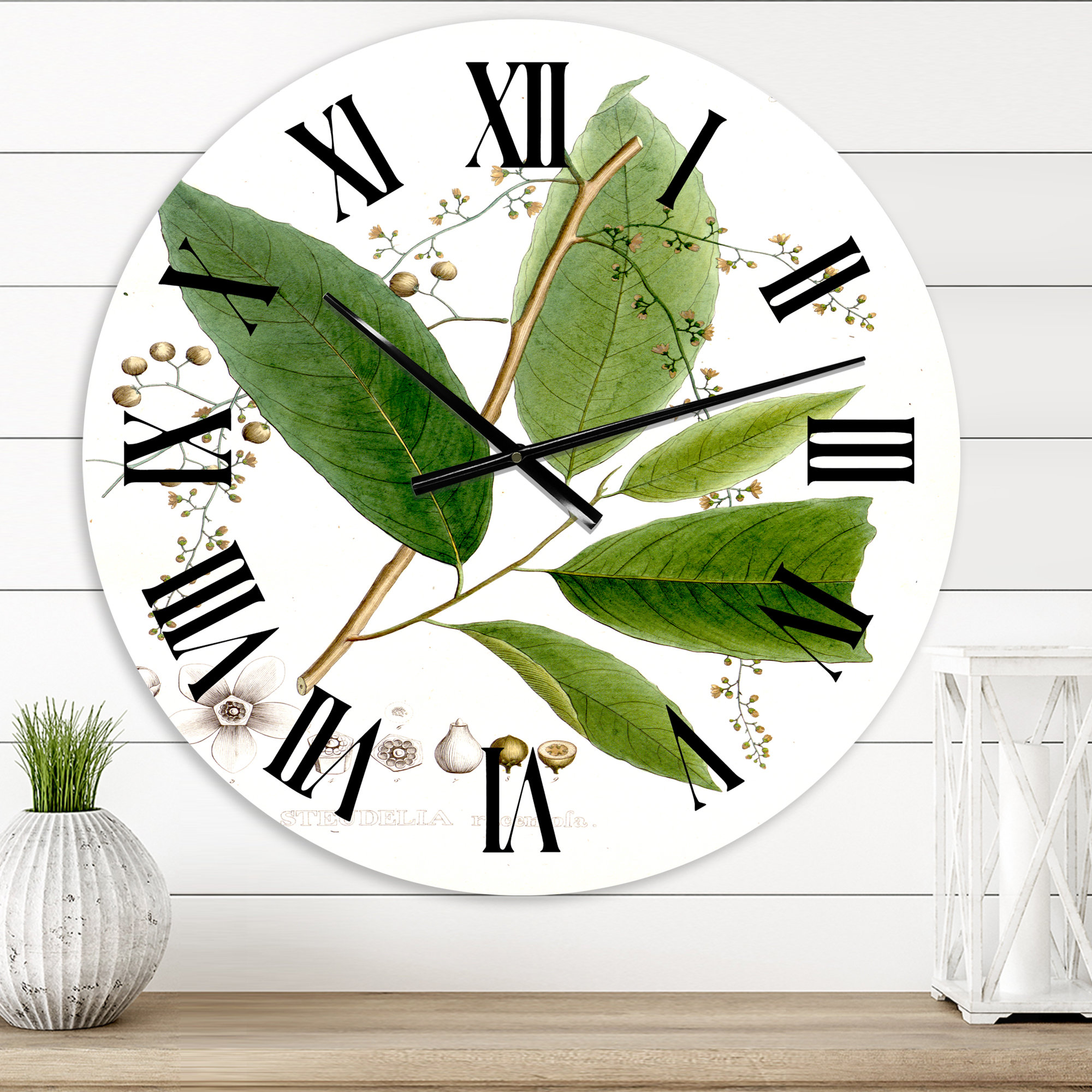 East Urban Home Vintage Brazilian Plant I - Traditional wall clock ...