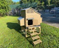 Tucker Murphy Pet™ Gara 16 Square Feet Chicken Coop | Wayfair
