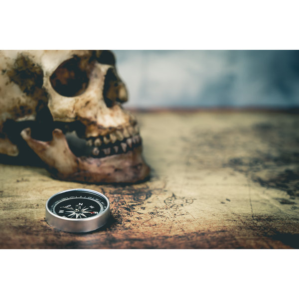 Breakwater Bay " Pirate Skull " by Junce - Wayfair Canada