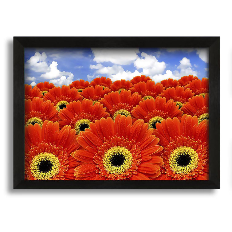 August Grove Orange Gerbera Heaven - Single Picture Frame Graphic Art ...