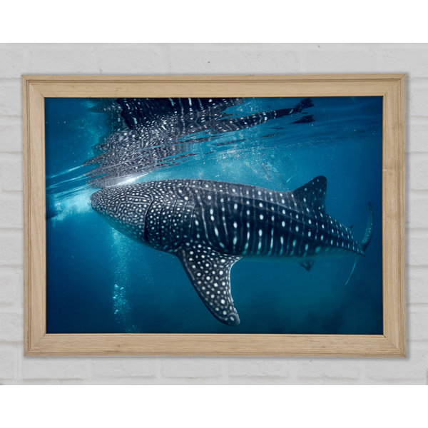 Highland Dunes Spotted Whale Shark Framed Print | Wayfair.co.uk