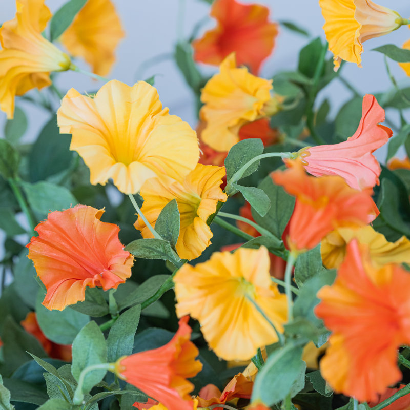 Primrue Petunia Urn Filler - Yellow / Orange | Wayfair