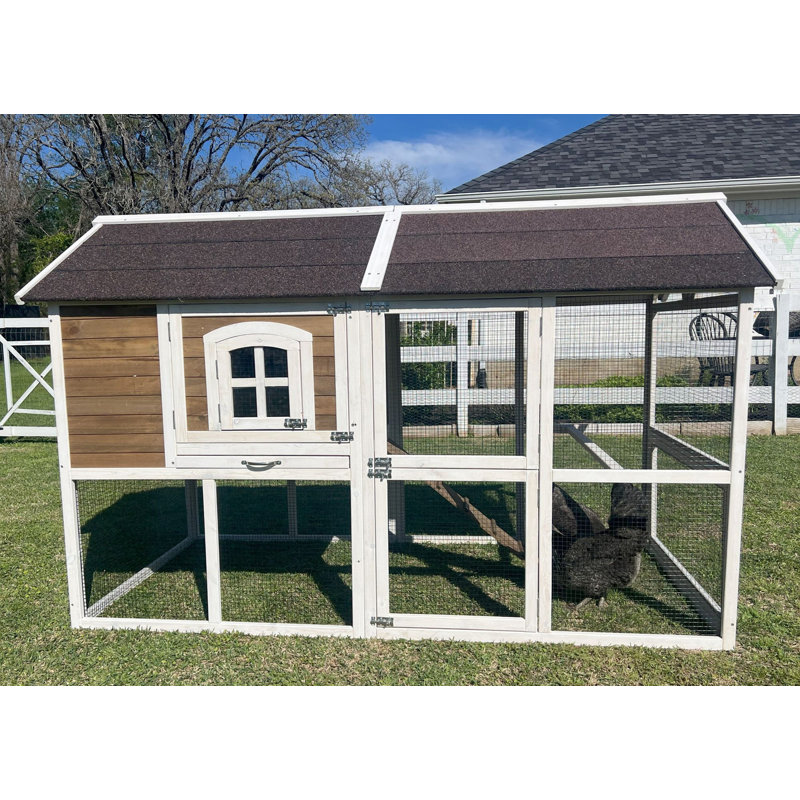 Zylina 24 Square Feet Chicken Coop with Nesting Box For Up To 8 ...