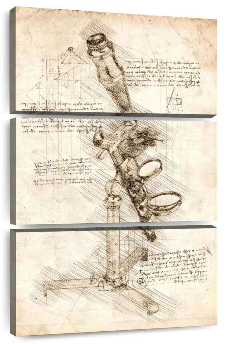 Elephant Stock Old Microscope | Wayfair