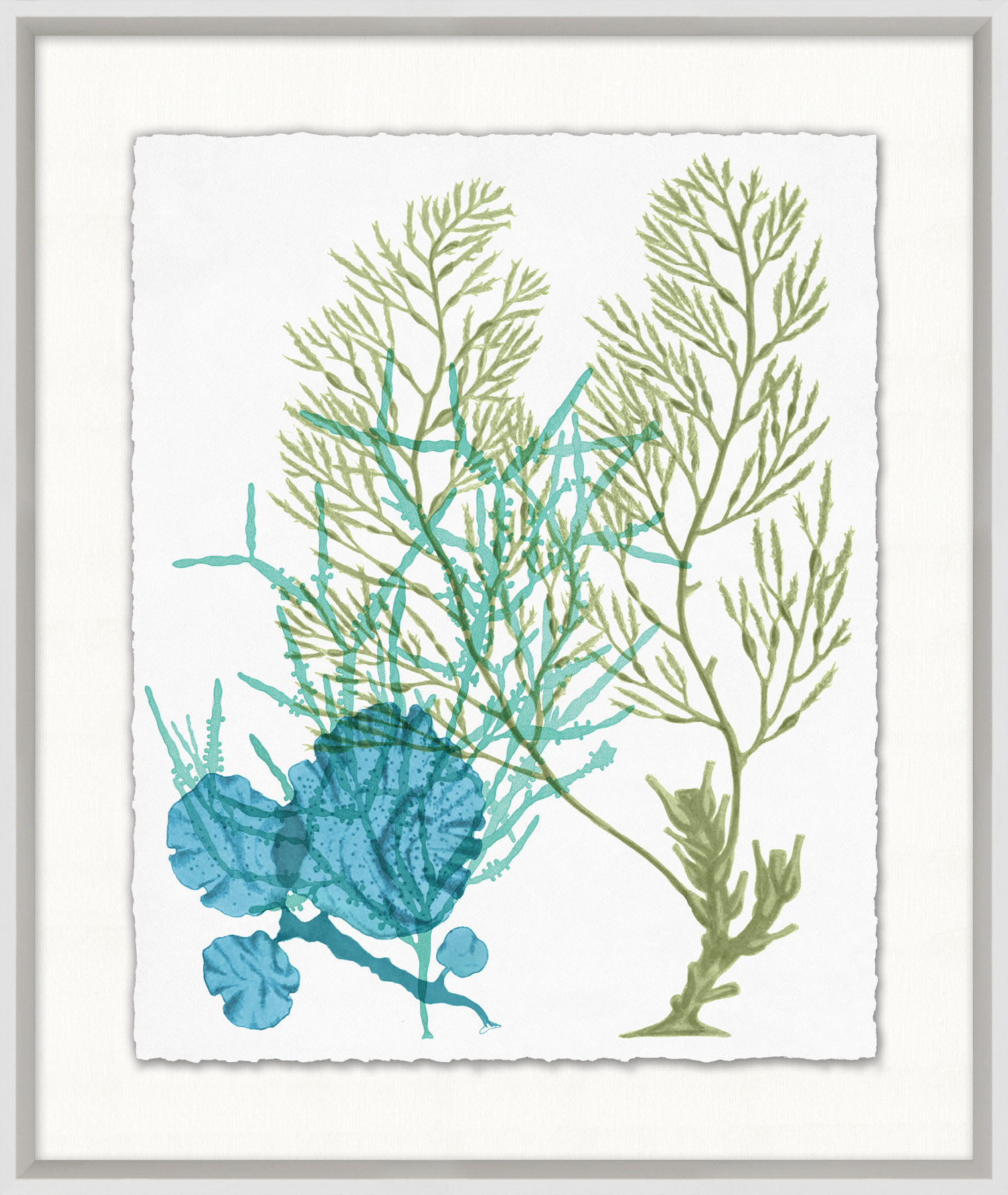 Wendover Art Group Deep Sea Kelp 9 - Picture Frame Painting | Perigold
