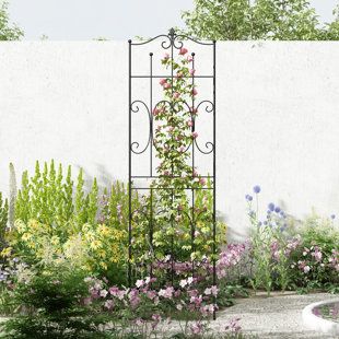 Metal Trellises You'll Love | Wayfair