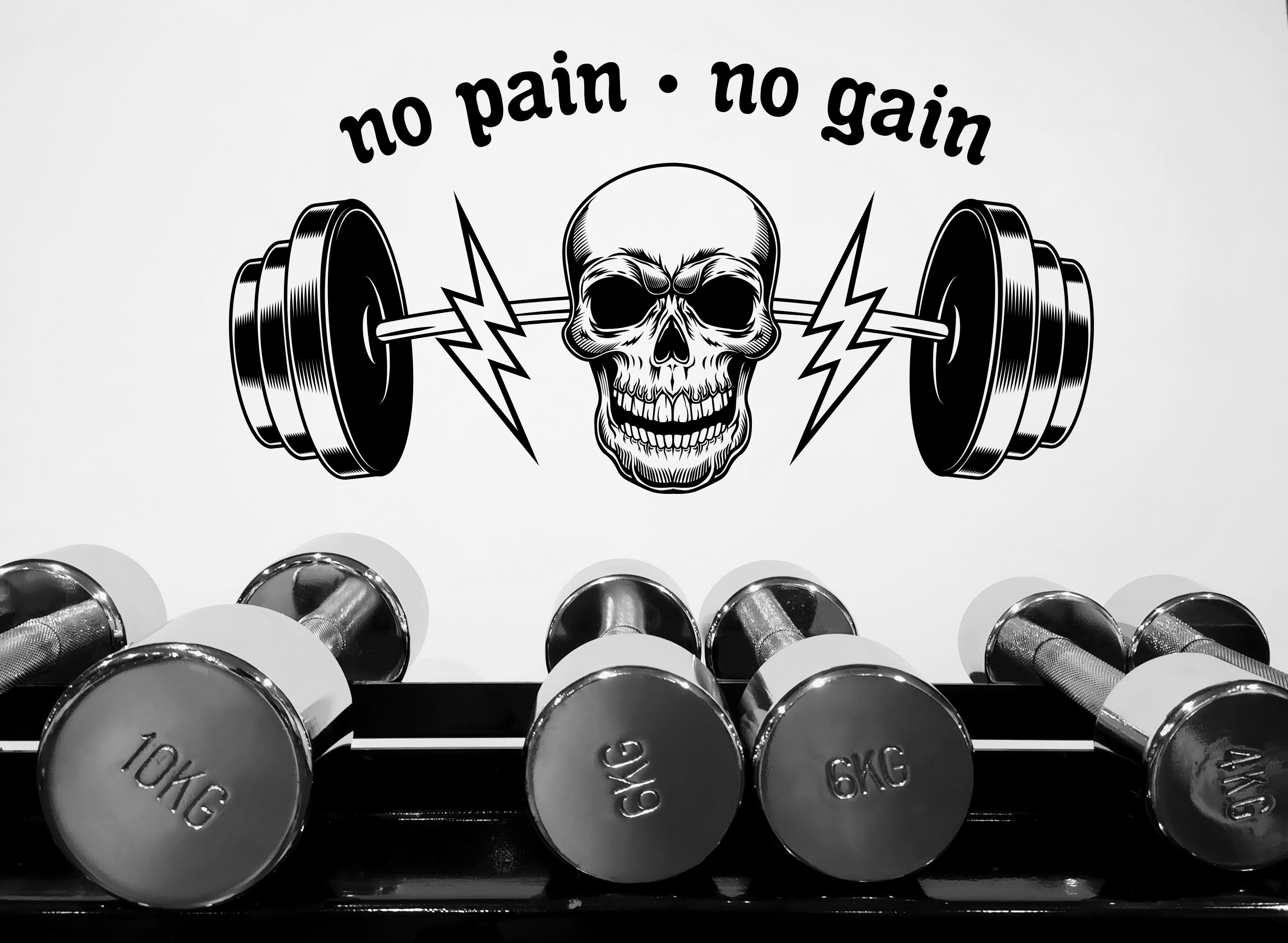 Trinx No Pain No Gain Gym Wall Decor Fitness Wall Art Skull Gym Wall ...
