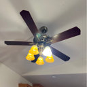 FINXIN 52'' Ceiling Fan with Light Kit & Reviews | Wayfair