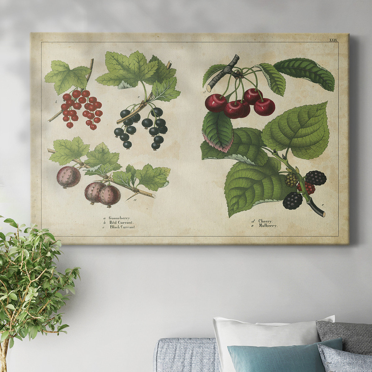 August Grove® Kitchen Fruits III-Gallery Wrapped Canvas | Wayfair