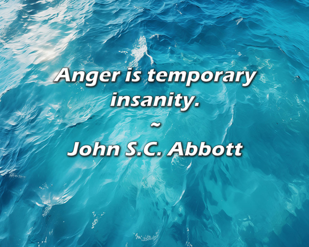 Trinx John S.C. Abbott Quote: Anger is temporary insanity. | Wayfair