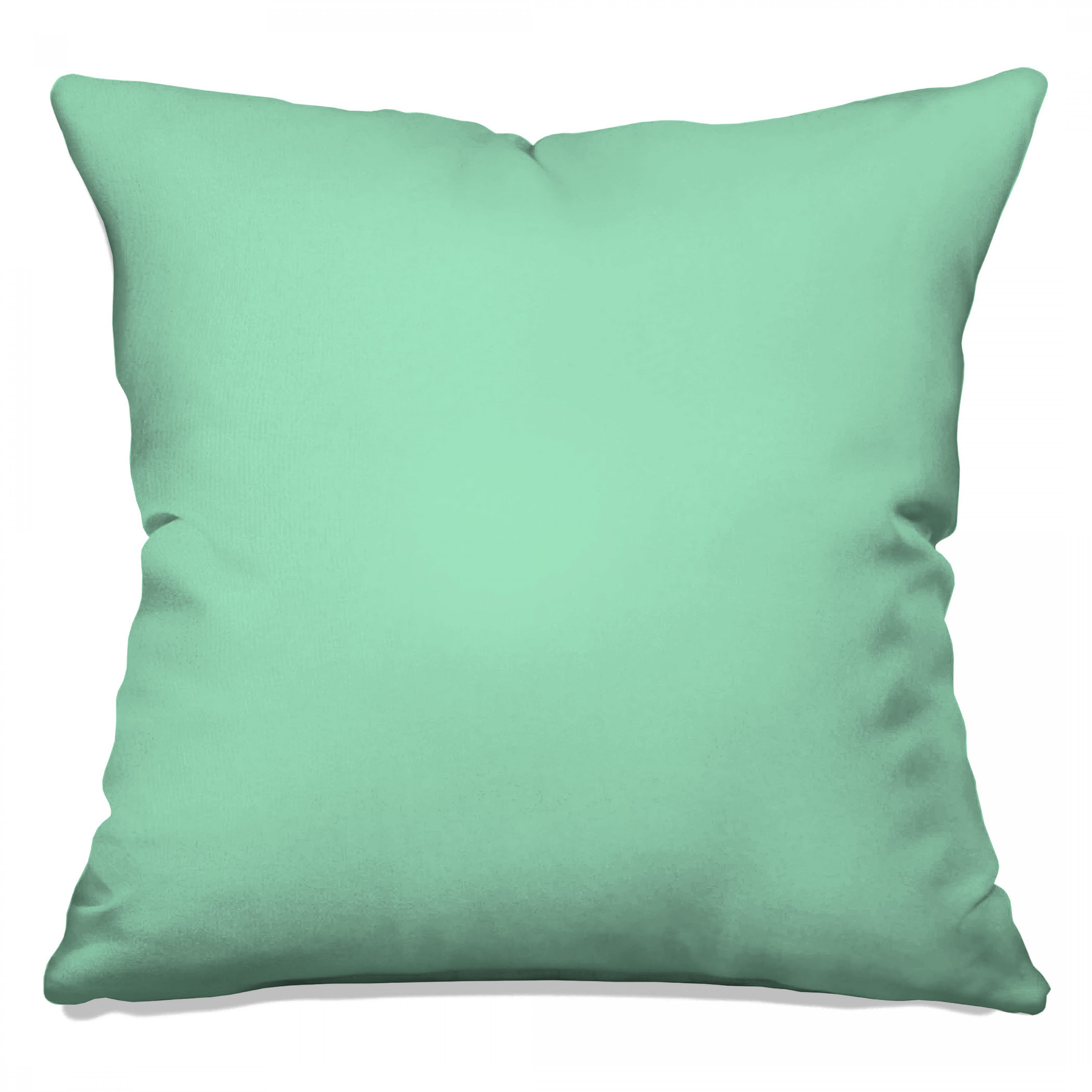 Mint Green Throw Pillowsnull