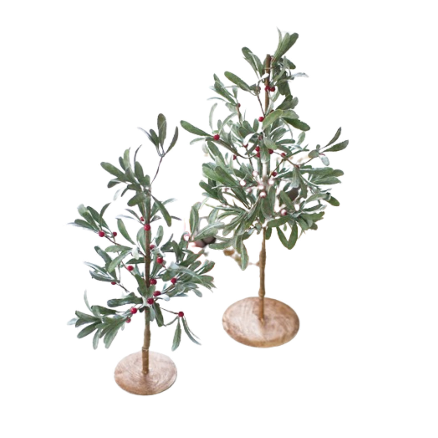 Primrue Set Of 2 Transitional Artificial Mistletoe Trees In Green ...