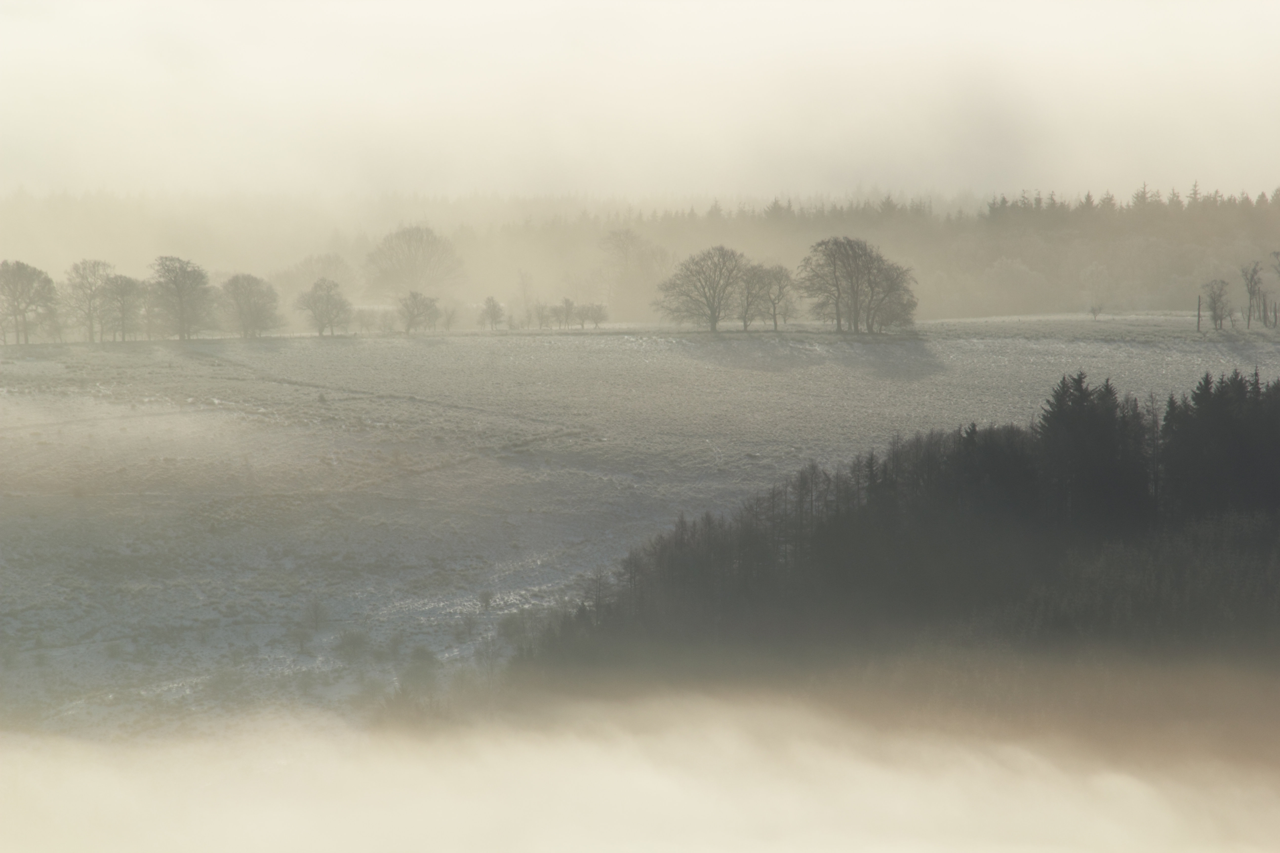 Loon Peak® Irie Misty Landscape by Moonmeister | Wayfair
