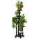 Ebern Designs Cirota Plant Stand & Reviews | Wayfair