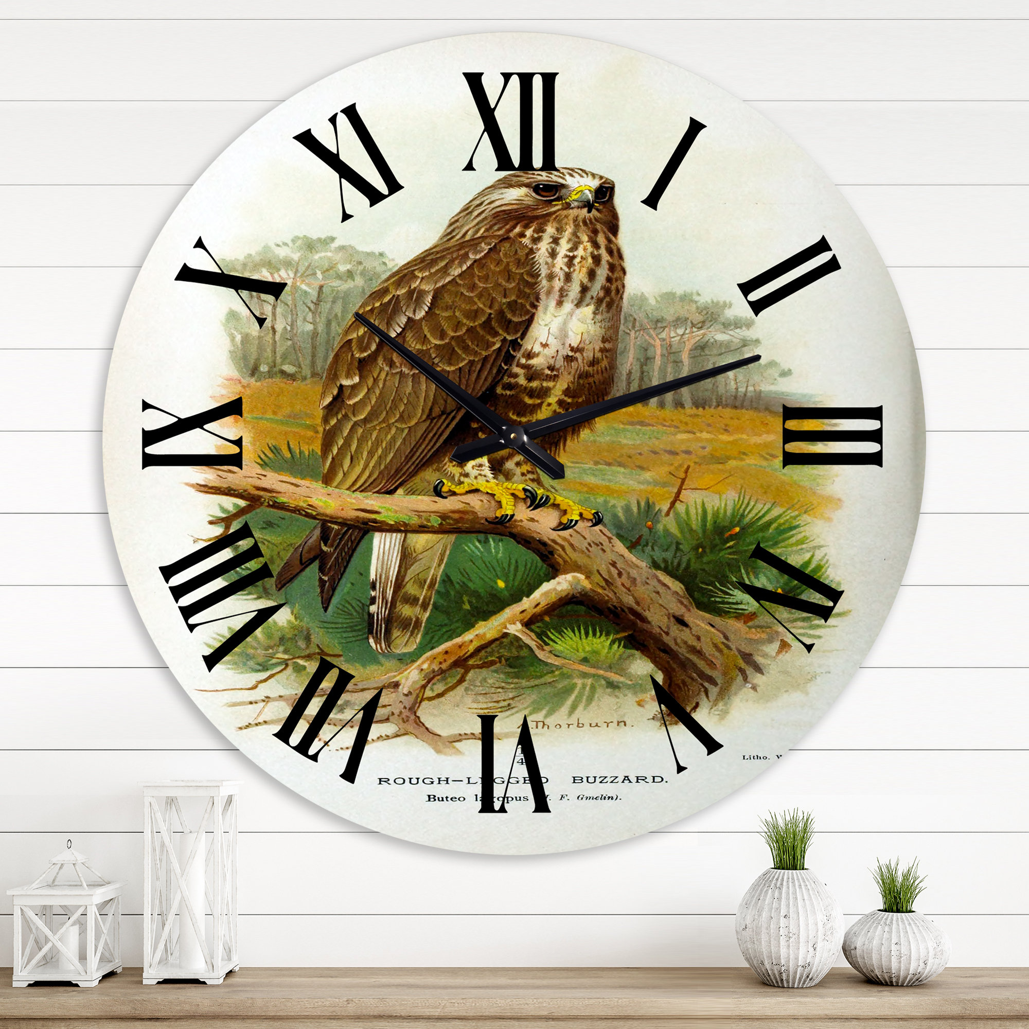 East Urban Home Vintage Bird Life IX - Traditional wall clock | Wayfair